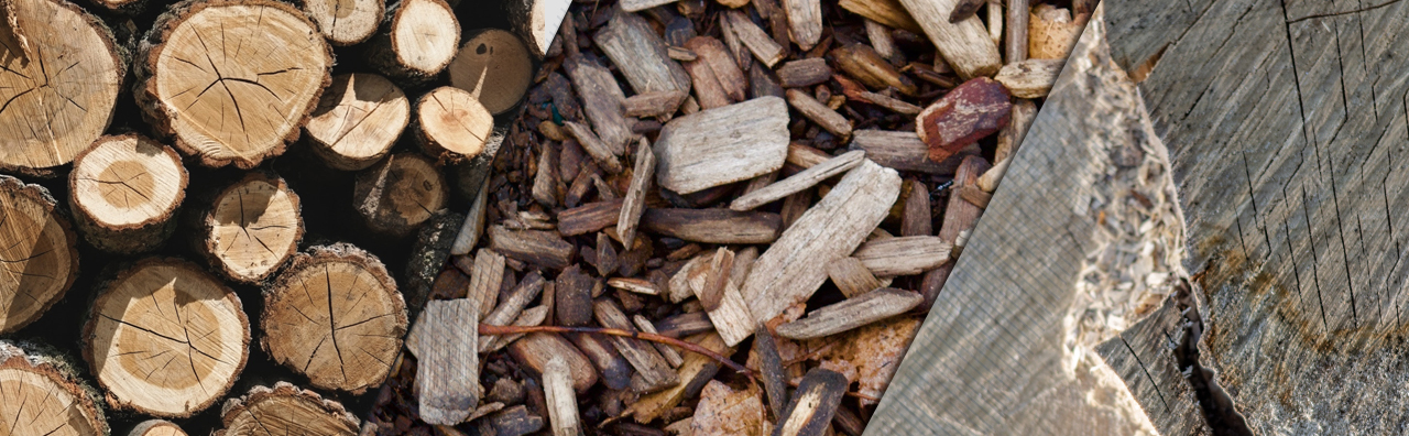 Le Bois Est Il Biodégradable | Biodégradable, compostable, recyclable ...